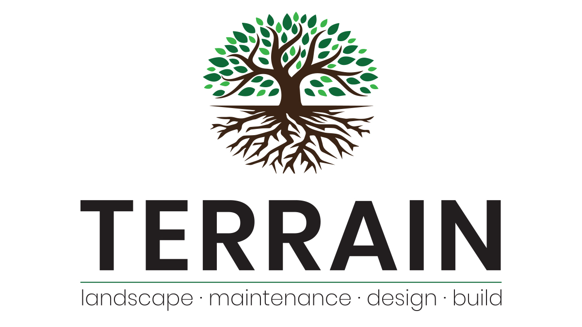 Home - Terrain